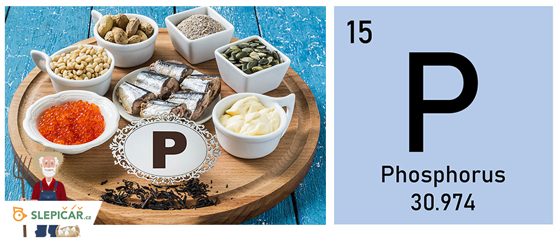 Fosfor: opomínaný ale důležitý prvek ve výživě drůbeže - Slepičář
