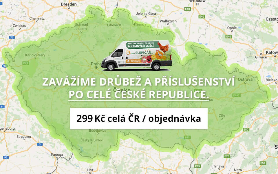 Jací dravci útočí nejčastěji na slepice? - Slepičář